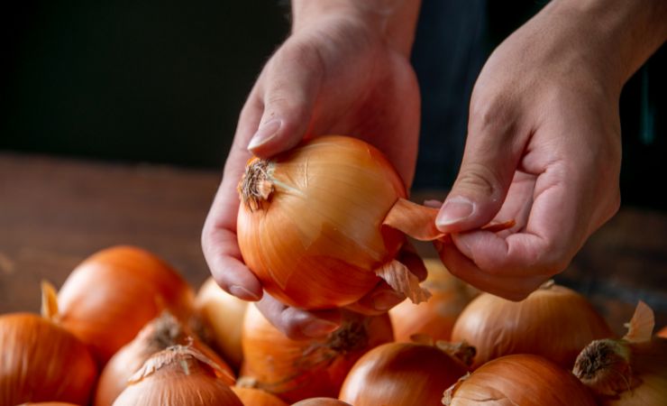 Onion skins have some amazing advantages: all you need to do is bake ...