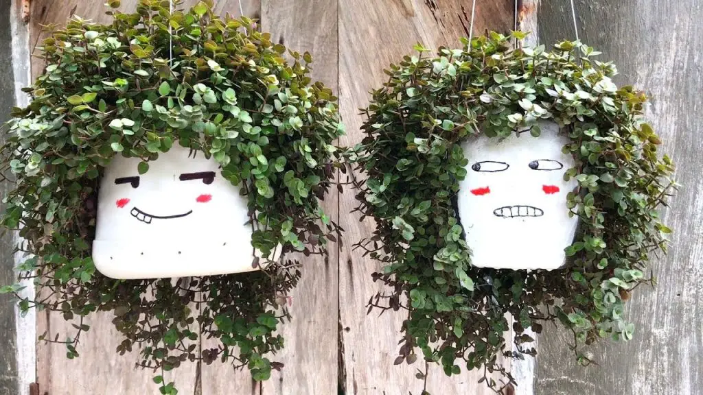 Decorative Flower Pot from Bottles: A Creative Model for Your Home ...