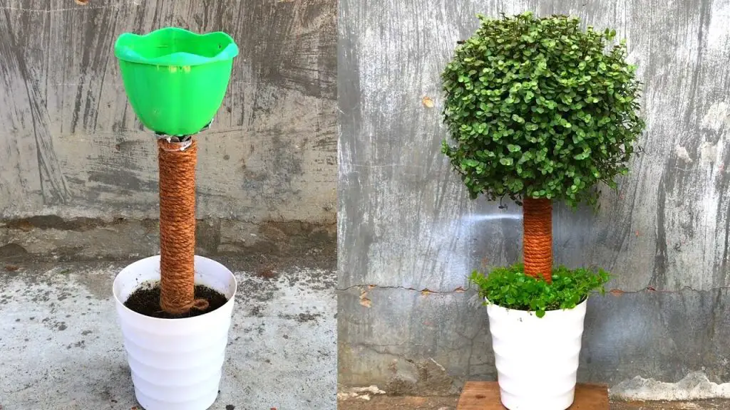 Planting Beautiful Flower Pots: Decorating Your Home Garden with ...