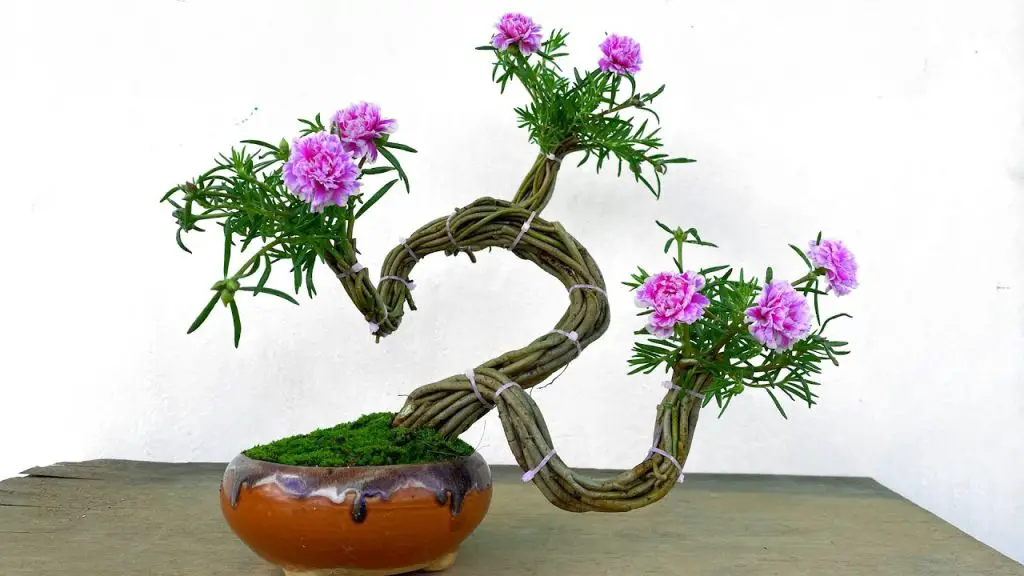 Unique 10-Hour Bonsai Flowerpot Ideas | Creative Bonsai Pot Designs ...