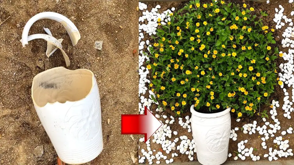 Creative Gardening Idea: Planting Flowers in Broken Pots | How to ...
